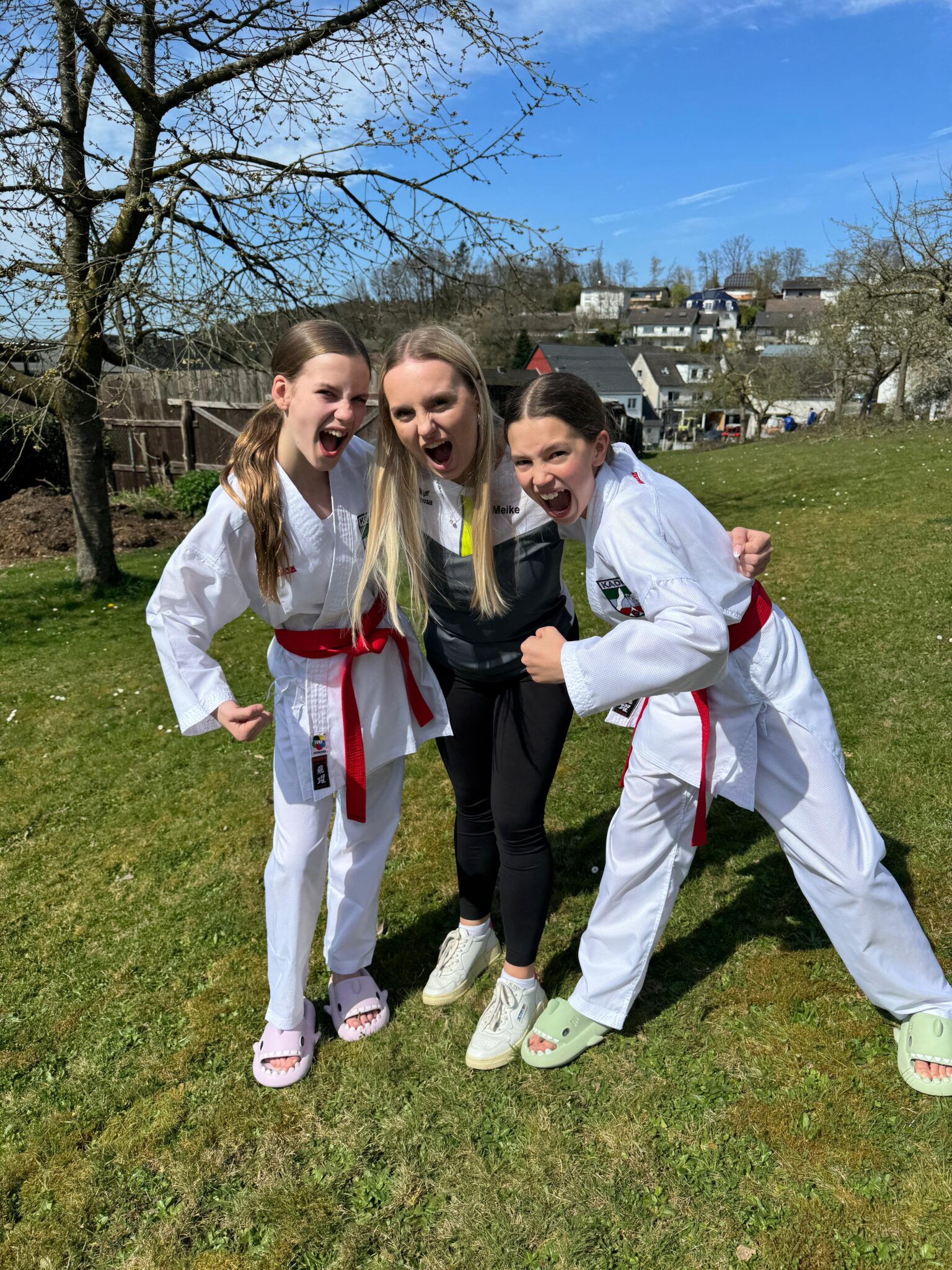 Super Leistungen und tolle Stimmung – Kumite in Puderbach » Karate Dojo ...